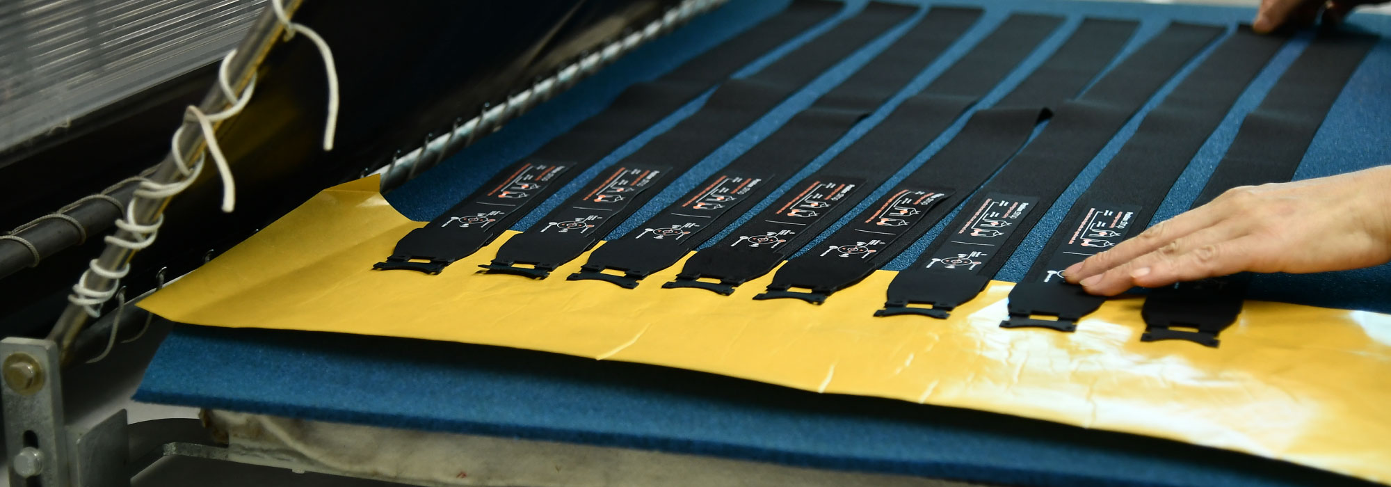 Group Companies - Starry Group